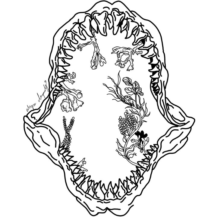 Coral Reef Shark jaw - Chupurdy Arts - Drawings & Illustration, Animals ...