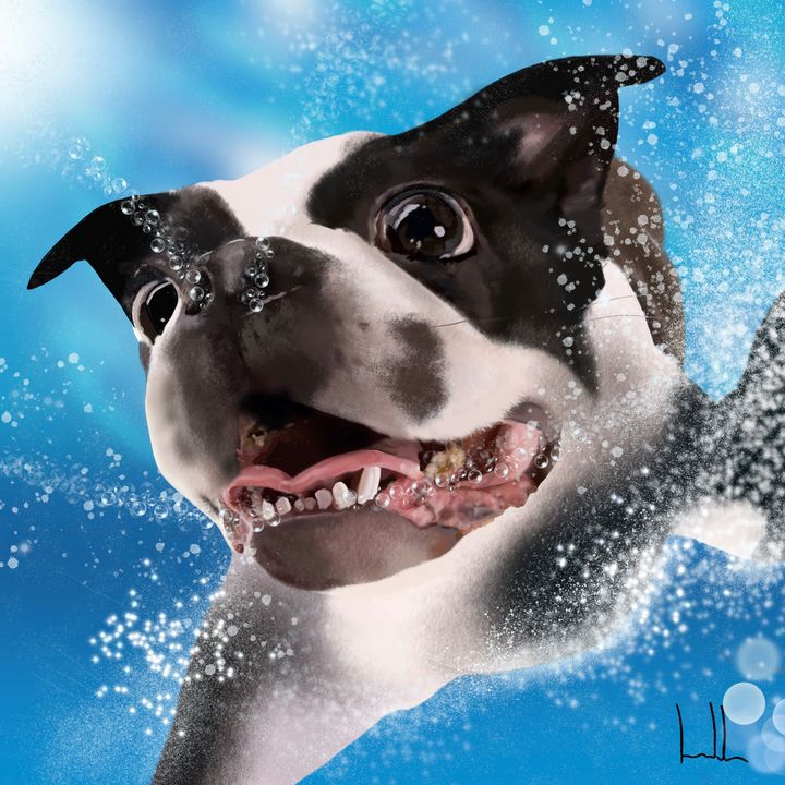 Billy swimming underwater - Artbeat - Digital Art & AI, Animals, Birds ...