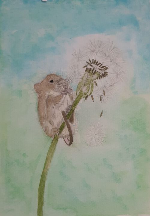 Feild mouse @ play by S.M.Croucher - Art and photography creations by S ...
