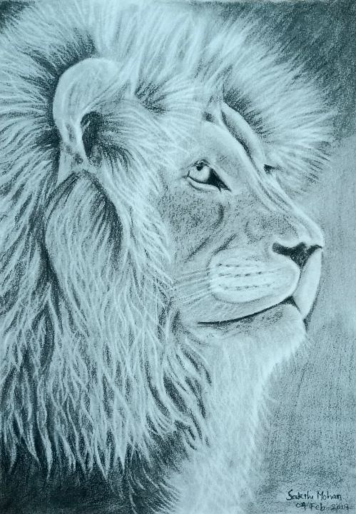 Mountain Lion Coloring Pictures Cougar Coloring Pages Printable Get