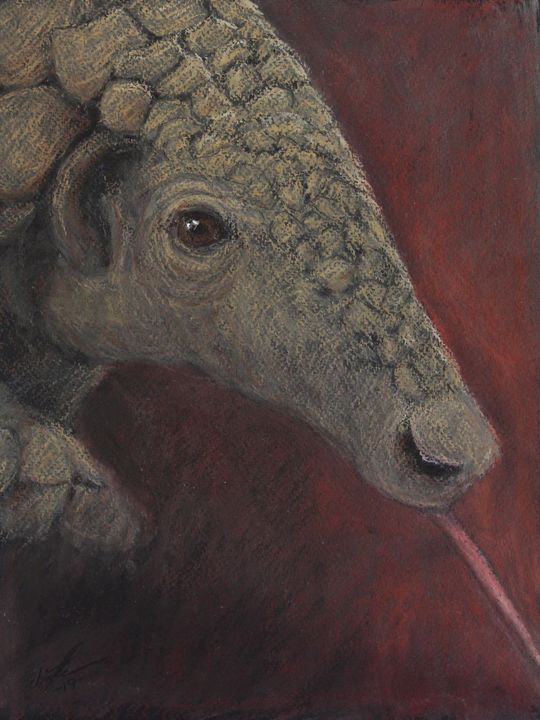 Thick-Tailed Pangolin - Elin Johnsen Art - Drawings & Illustration ...