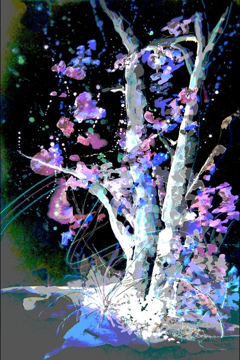 Sedona Tree Magic - Sunshower Art - Paintings & Prints, Landscapes ...