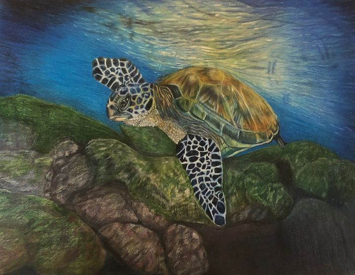 Free swim - Artbynursejoy - Drawings & Illustration, Animals, Birds ...