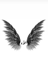 Alaa Mohammed - Drawings & Illustration