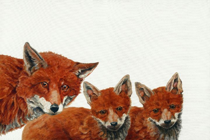Meet the foxes - Maxine Cameron - Paintings & Prints, Animals, Birds ...