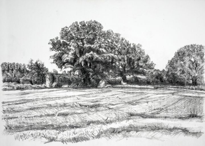 We want to be a Wood. - Maxine Cameron - Drawings & Illustration ...