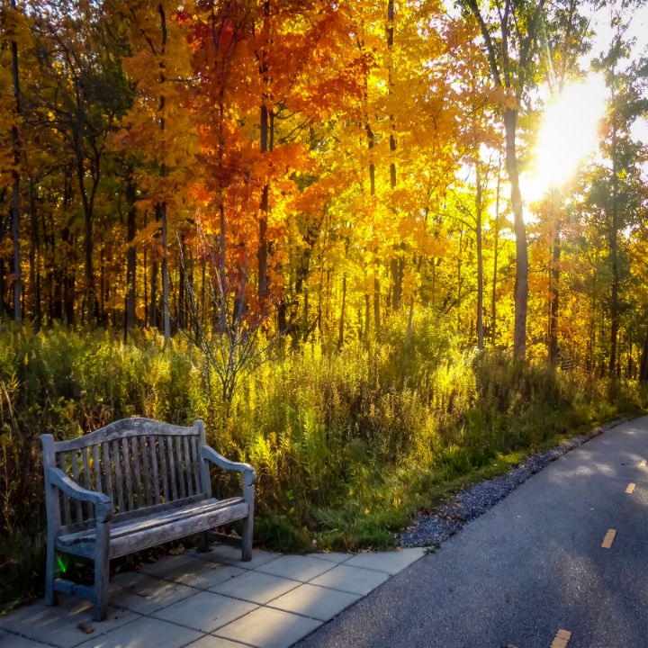 Autumn Trail - MQ Best Visual Arts - Photography, Landscapes & Nature ...