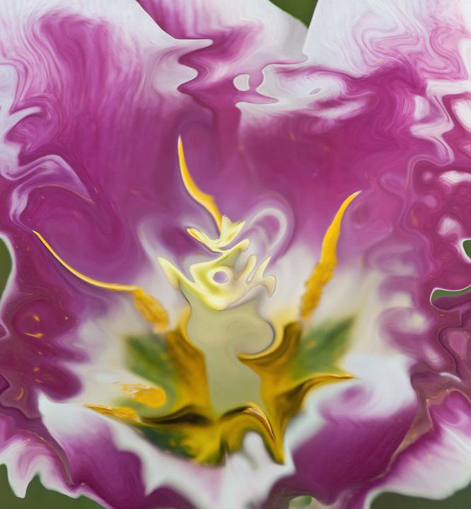 rising colored fluid shapes - BBS Art - Photography, Abstract ...