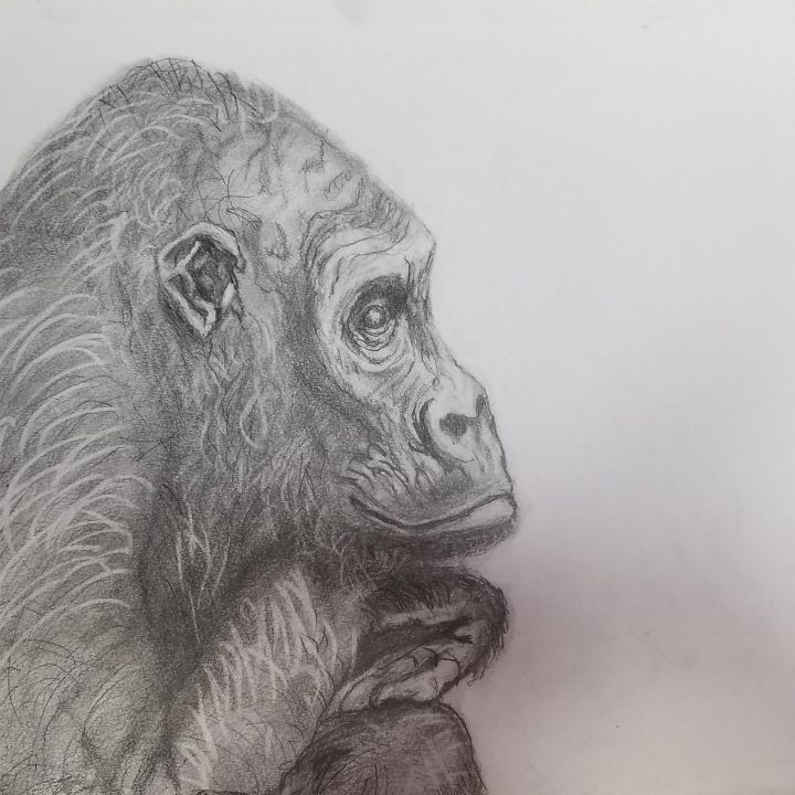 Mans Other Friend - Hidden Code Studios - Drawings & Illustration ...