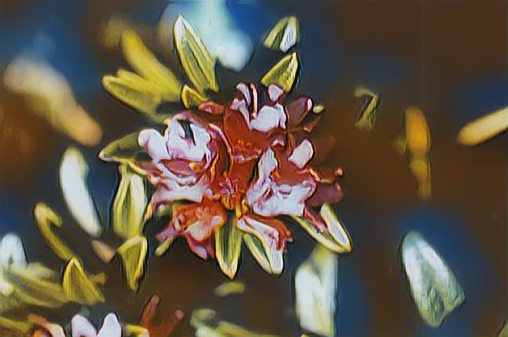 Alpenrose - ein Ausdruck der Liebe - Art & Love by kasaan - Paintings ...