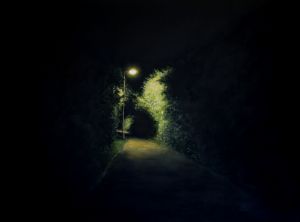 Robin Pugh - Paintings & Prints