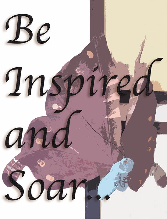 Be Inspired and Soar - The Soul Messages by Jodi - Photography ...