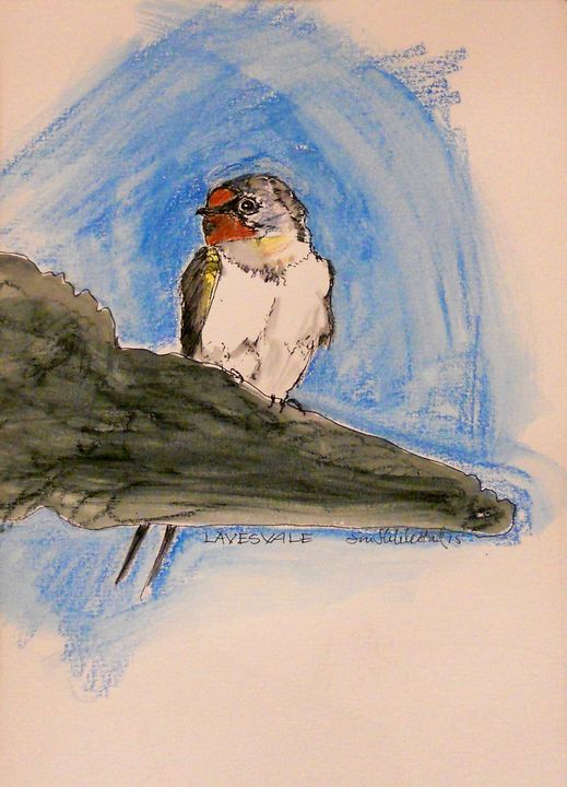 BARN SWALLOW - SÏRÏ - Drawings & Illustration, Animals, Birds, & Fish ...