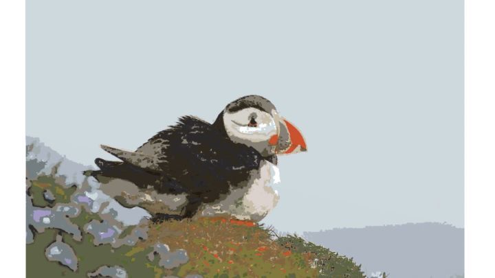 A Bird - ASN Artwork - Paintings & Prints, Animals, Birds, & Fish ...