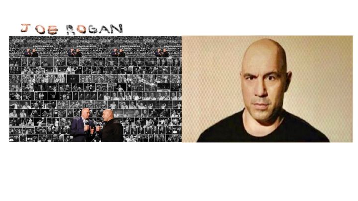 700 Portraits of Joe Rogan - ASN Artwork - Paintings & Prints, People ...