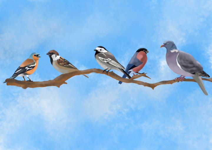 A Collection of British Birds - Number Nine Studios - Paintings ...