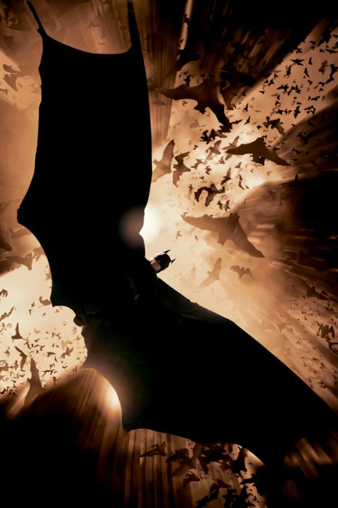 Batman Begins - Sandman Design - Paintings & Prints, Entertainment ...