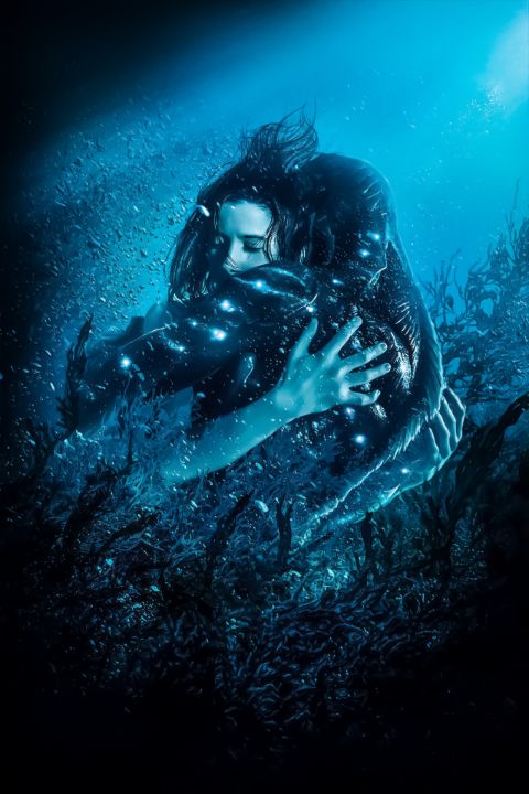The Shape of Water 2017 - Sandman Design - Paintings & Prints ...