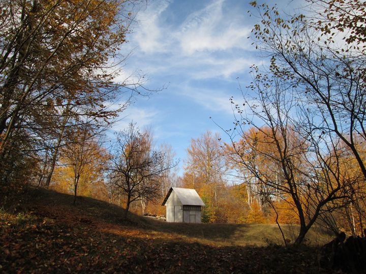 Hut in the forest - forstwalker78 - Photography, Landscapes & Nature ...