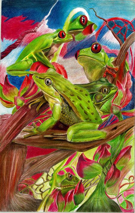 Frolicking Frogs - Christopher Mitchell - Drawings & Illustration ...