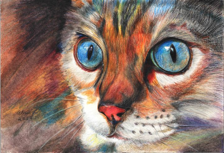 Beautiful Blue Eyed Kitty - Christopher Mitchell - Drawings ...