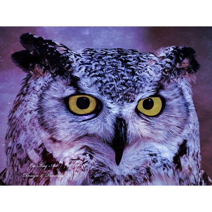 Who's a Pretty Boy - Cee Kay Creations - Drawings & Illustration ...