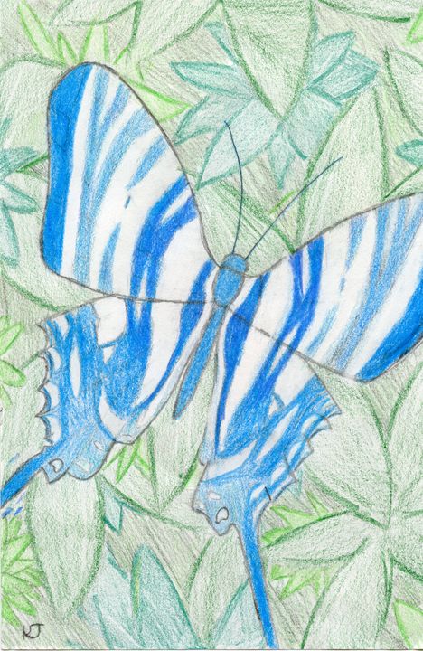 Turquoise Butterfly - K.T. Sketches - Drawings & Illustration, Animals ...