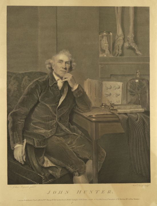 Portrait of John Hunter - Unique Artworks Collection - Paintings ...