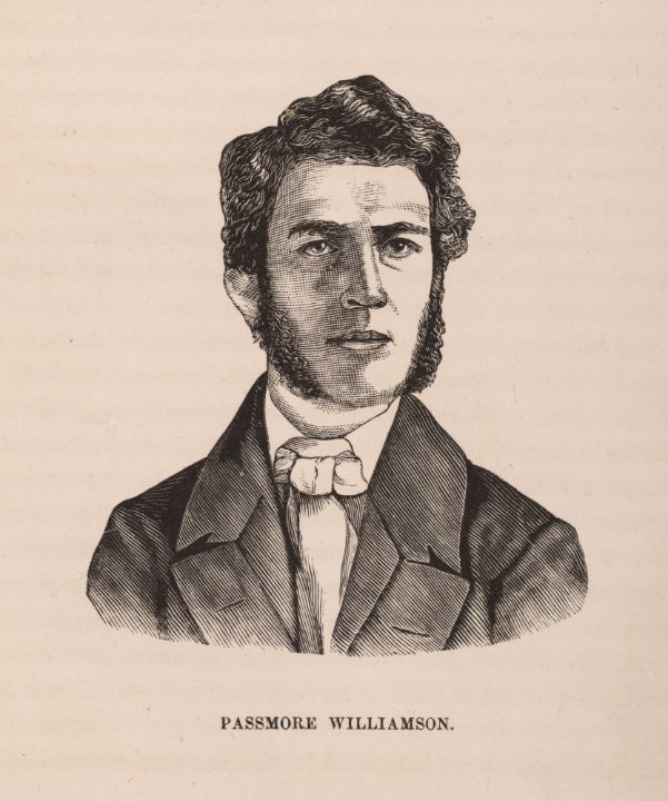 Passmore Williamson - Unique Artworks Collection - Paintings & Prints ...