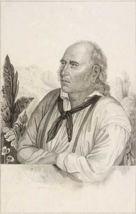 John James Audubon - Unique Artworks Collection - Paintings & Prints ...
