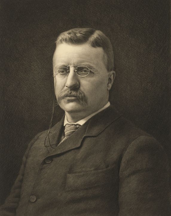 Theodore Roosevelt - Unique Artworks Collection - Paintings & Prints ...