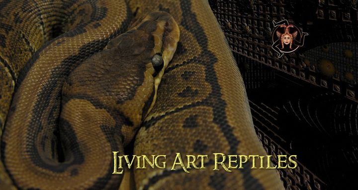 Living Art Reptiles - Photography