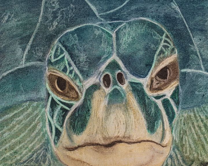 Señor Sea Turtle - Andi-Impression - Drawings & Illustration, Animals ...