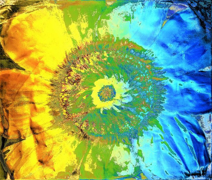 Sun Splash - Andi-Impression - Paintings & Prints, Flowers, Plants ...