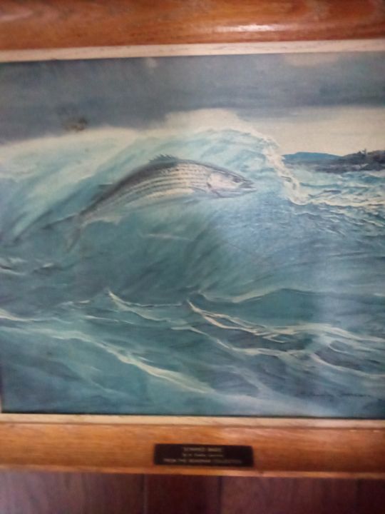 William Godby Lawrence Seabass - William goodby Lawrence - Paintings ...