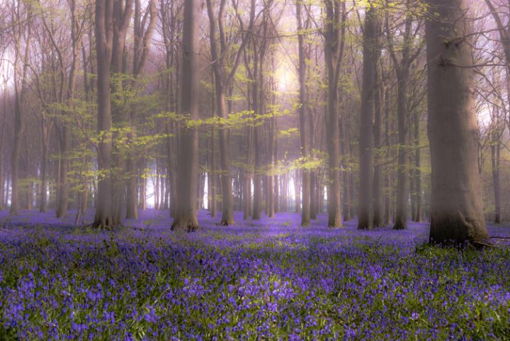 Kate Lake - Photography