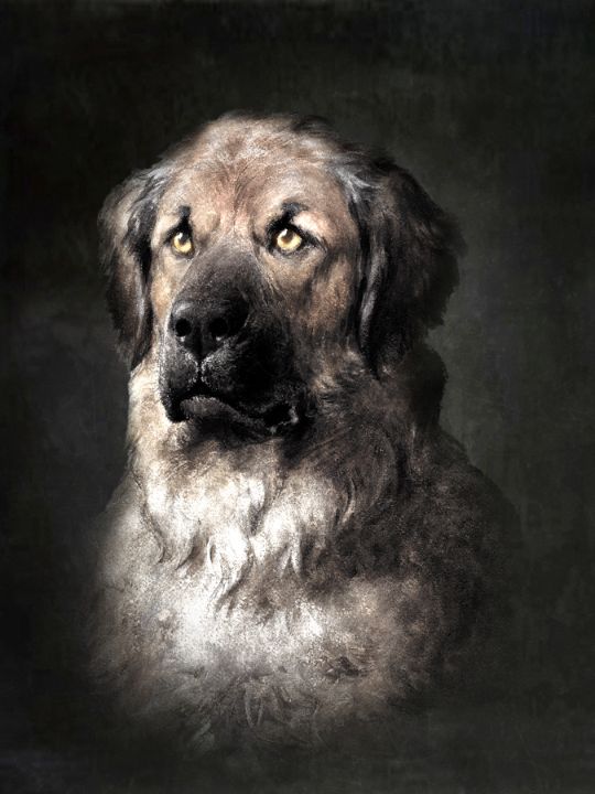 Alan Thompson Art - Digital Art, Paintings & Prints