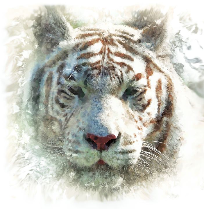 White Tiger - Alan Thompson Art - Digital Art & AI, Animals, Birds ...