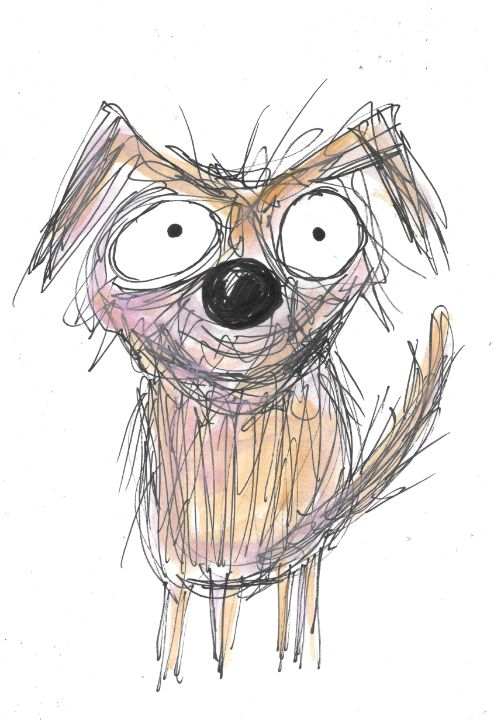 Scruffy dog - The People's Dog - Paintings & Prints, Animals, Birds ...