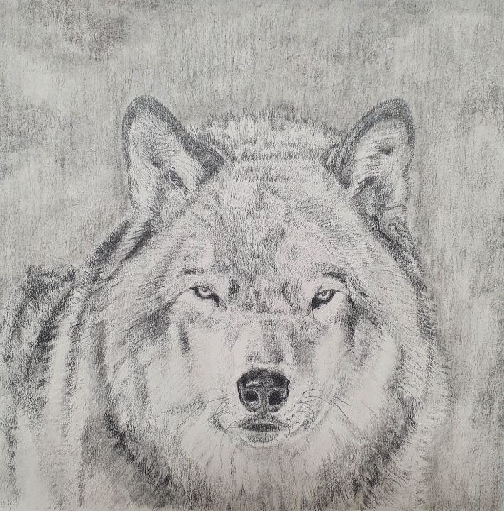 Dima Kounitskiy - Drawings & Illustration, Paintings & Prints