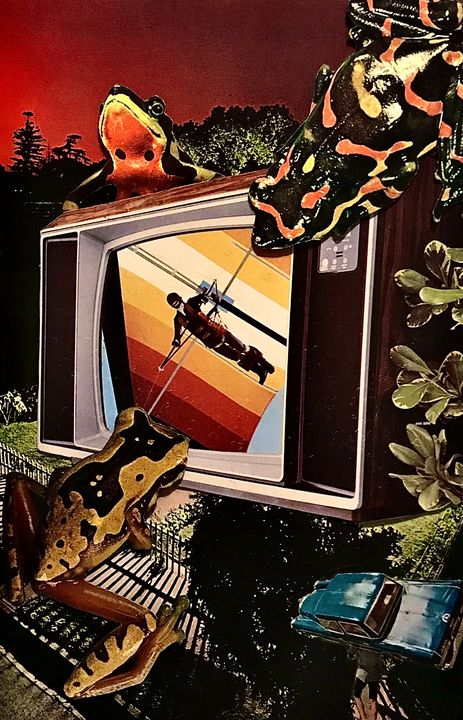 Jumping into color - Recycled Collages - Paintings & Prints, Animals ...