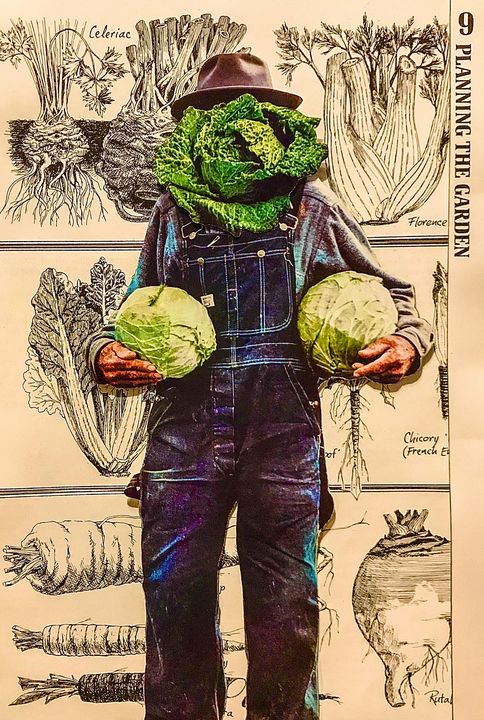 The cabbage man - Recycled Collages - Paintings & Prints, Food ...