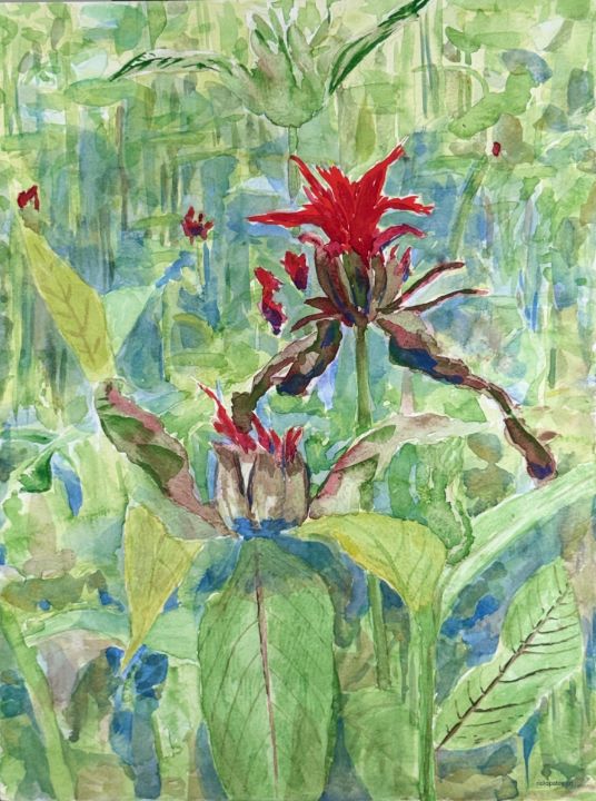 Bee Balm - Rick Spates - Paintings & Prints, Flowers, Plants, & Trees ...