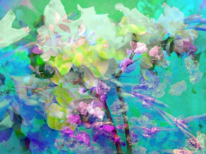 Into The Color Flush - Flowers by Alaya Gadeh - Photography, Flowers ...