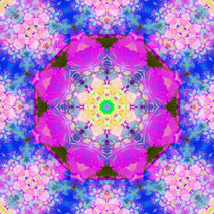 Violet Blossom Mandala XI - Flowers by Alaya Gadeh - Photography ...