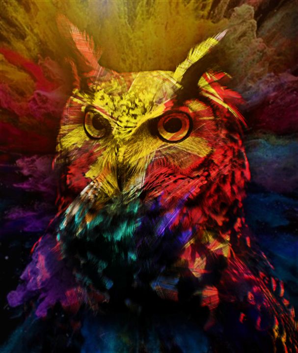 Be Owlsome - lucyliew Artstation - Digital Art, Animals, Birds, & Fish ...