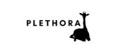 Plethora Studio - Paintings & Prints