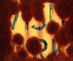 Jared Davison Photography - Photography