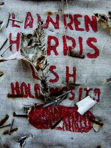 Jared Davison Photography - Photography