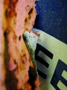 Jared Davison Photography - Photography